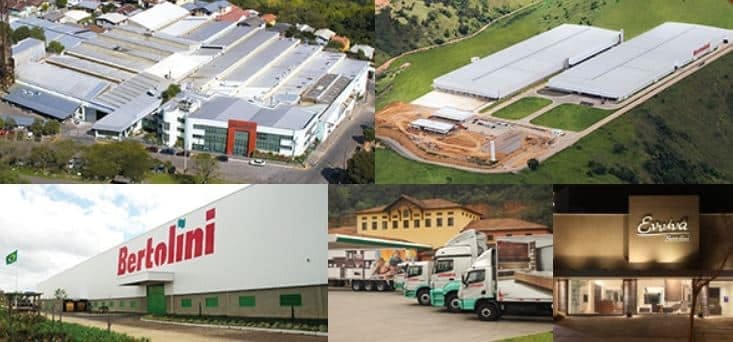 Grupo Bertolini cresce 61% no mercado brasileiro e em unidades no ...